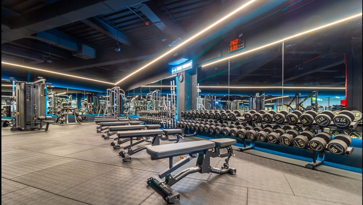 Altafit, Synergym y Basic-Fit crecen en Andalucía con la apertura de ...